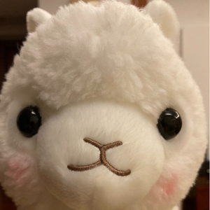 2度目の海外帯同はシンガポール ～piroko、上海に引き続きまた帯同するってよ～ | 仕事を辞めて、夫と家族で海外へ。