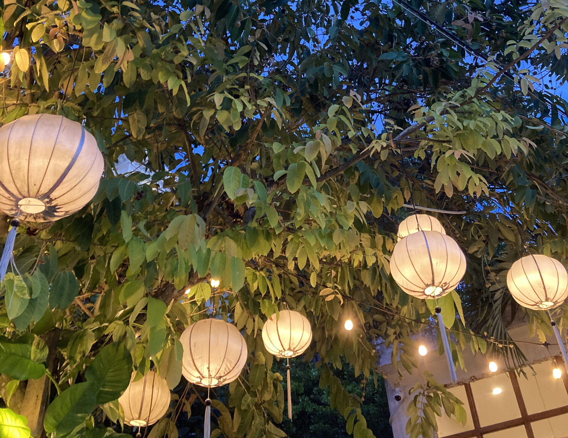 ホイアン旧市街をお散歩観光｜ノスタルジックな街並み【ベトナム観光】 | 2度目の海外帯同はシンガポール ～piroko、上海に引き続きまた帯同 ...