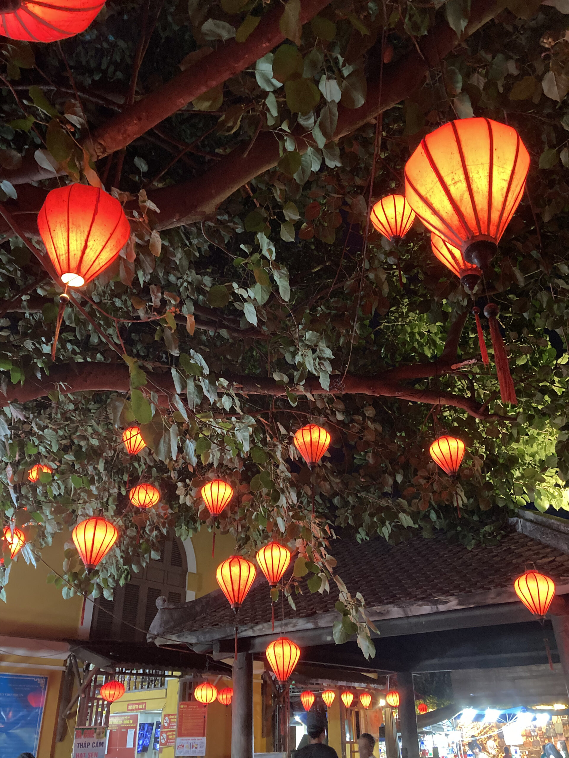 ホイアン旧市街をお散歩観光｜ノスタルジックな街並み【ベトナム観光】 | 2度目の海外帯同はシンガポール ～piroko、上海に引き続きまた帯同 ...